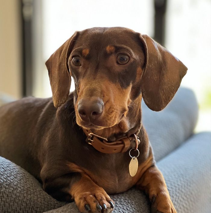 Talent House Recruitment - About Us